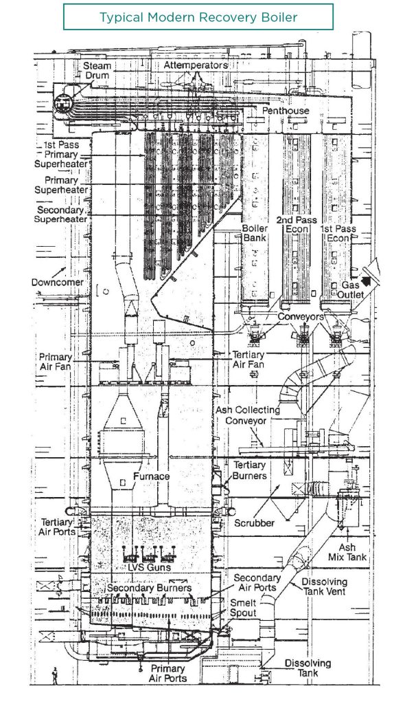 A Different Perspective: Adapting, Evolving, and Capitalizing in the ...